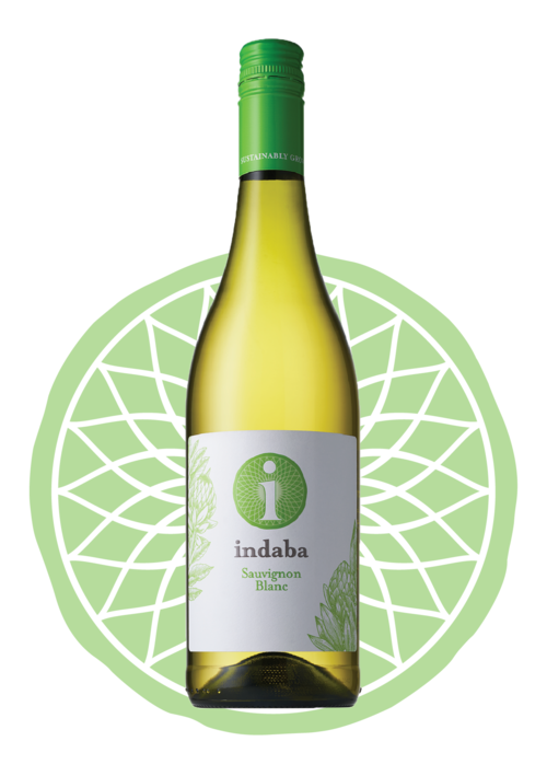 Indaba Sauvignon Blanc (6 X 750ml) - WineMyDay